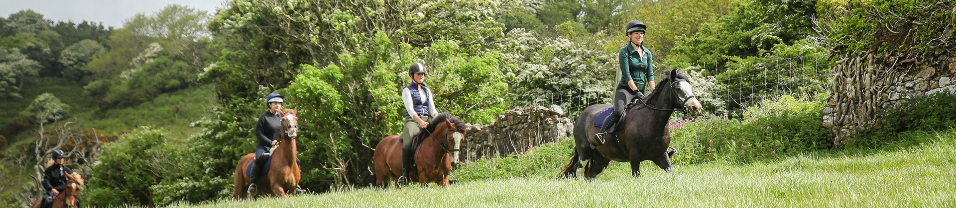 Group Horse Riding – Island Riding Centre