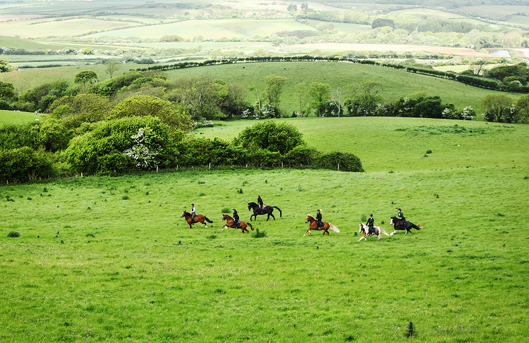 Gallery | The Island Riding Centre