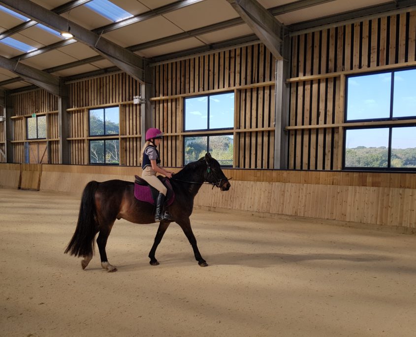 Gallery – Island Riding Centre
