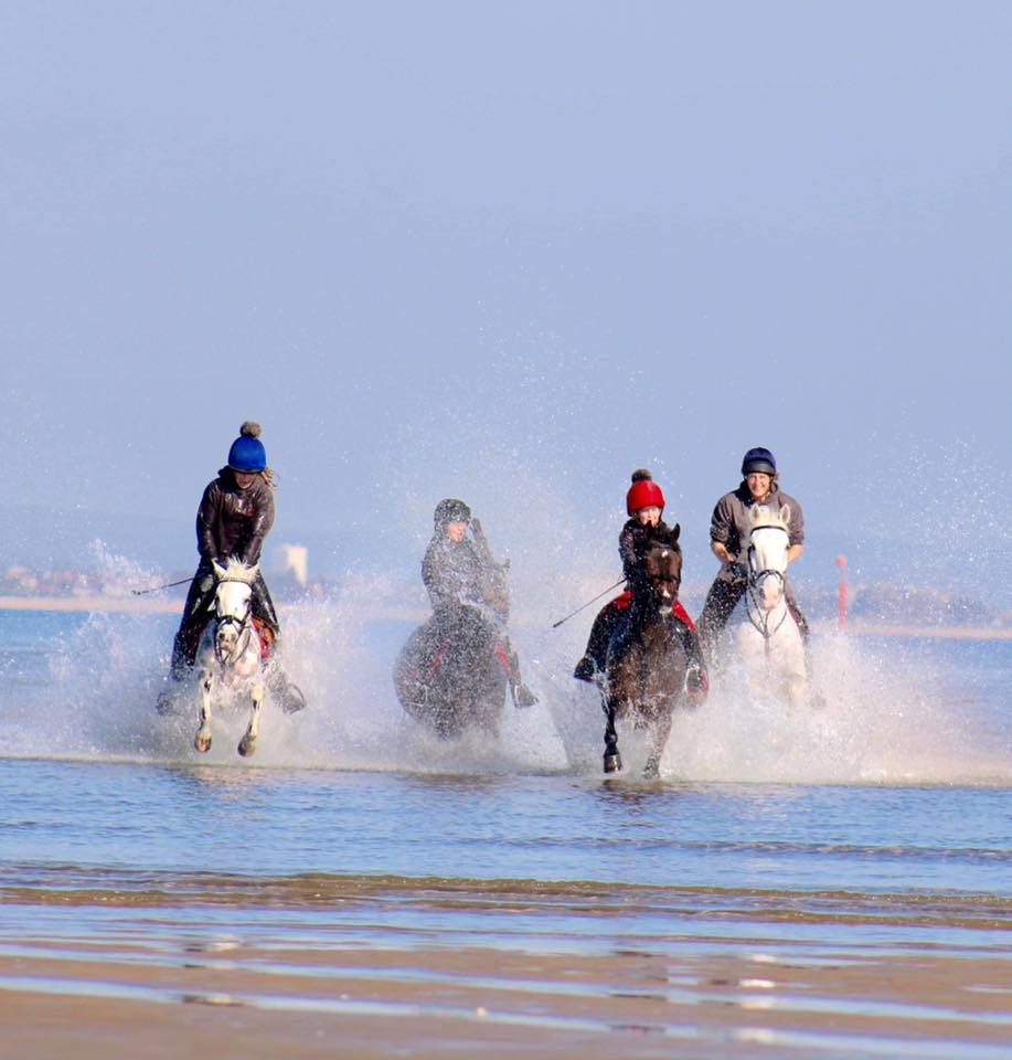 Gallery – Island Riding Centre