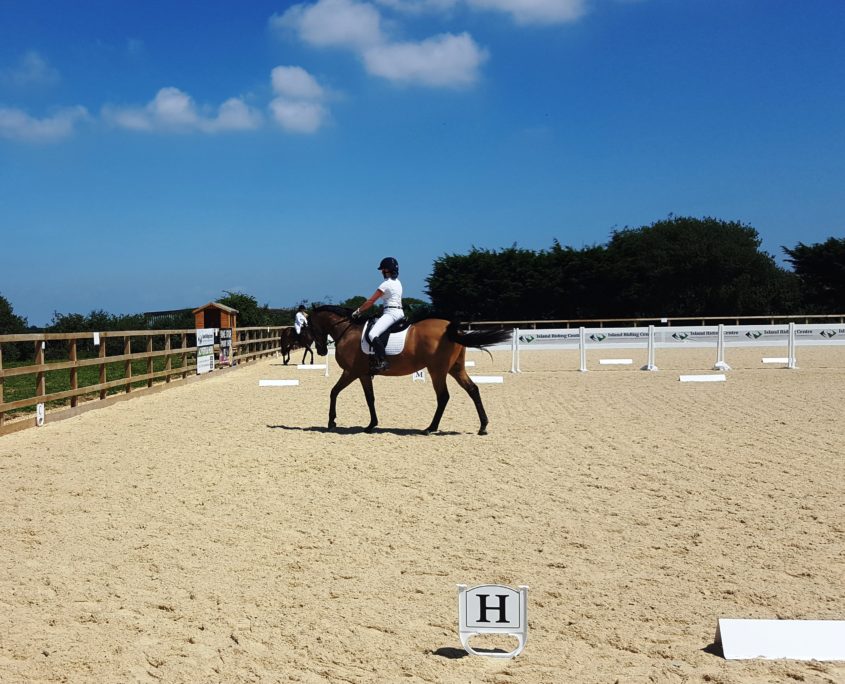 Gallery – Island Riding Centre