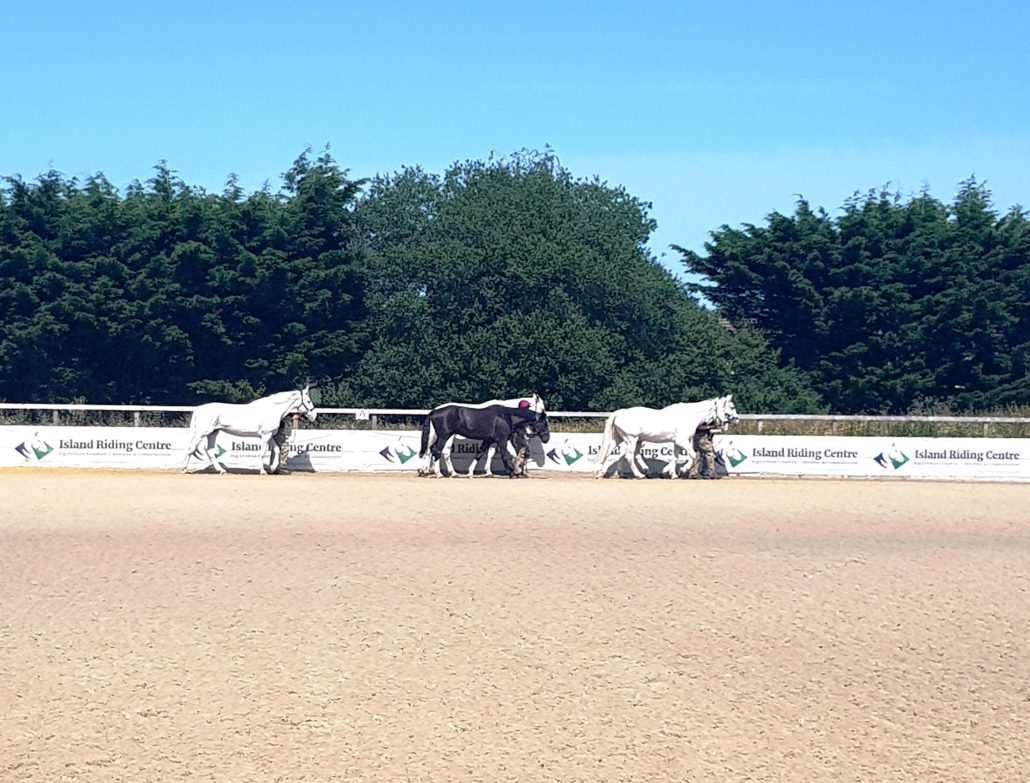 Gallery – Island Riding Centre