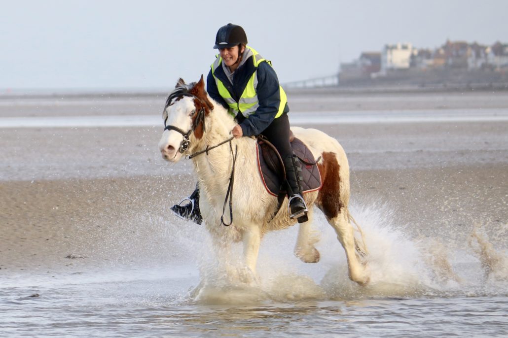 Gallery – Island Riding Centre