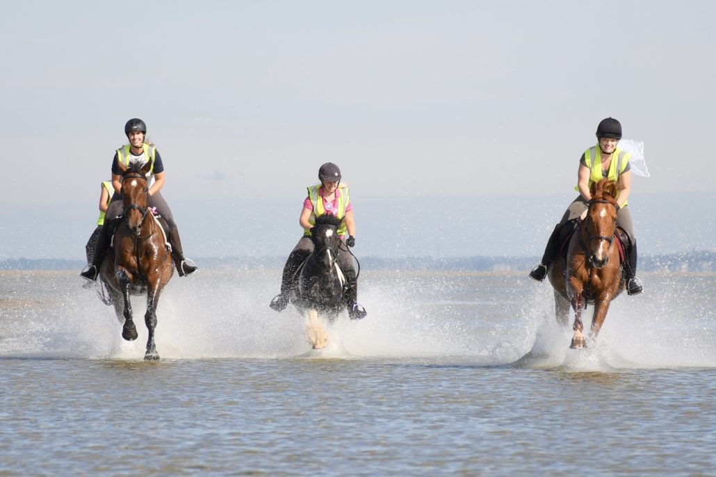 Gallery – Island Riding Centre