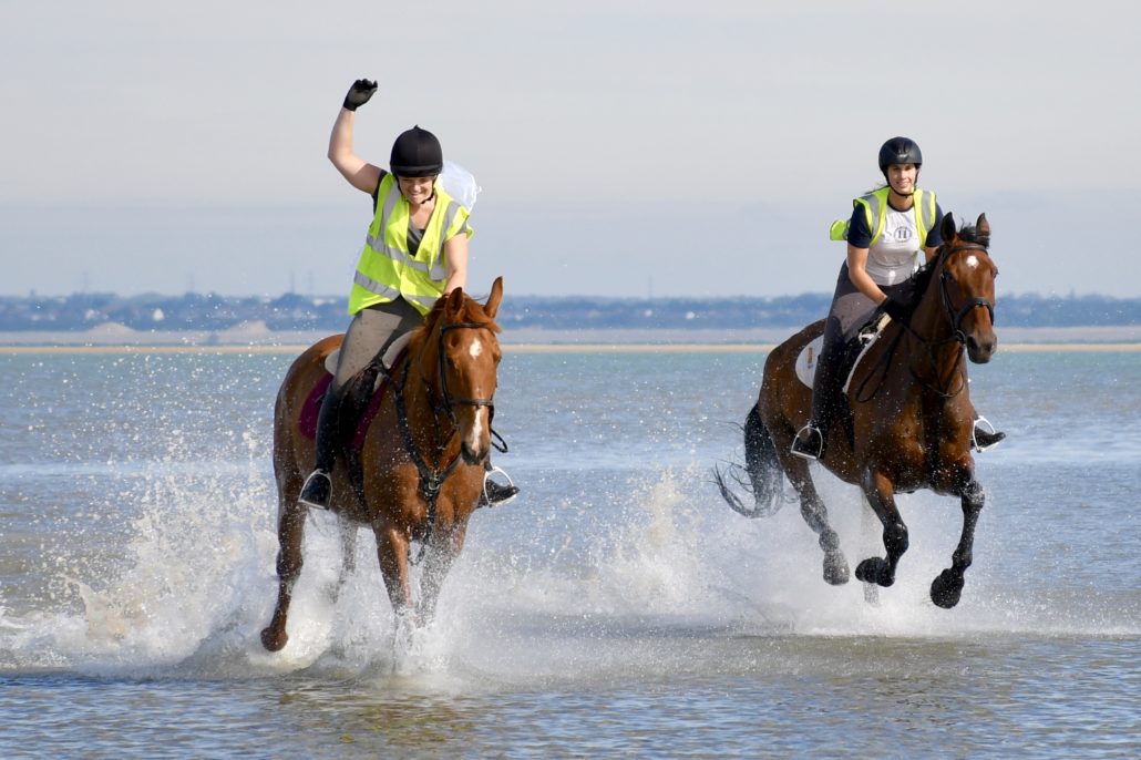 Gallery – Island Riding Centre