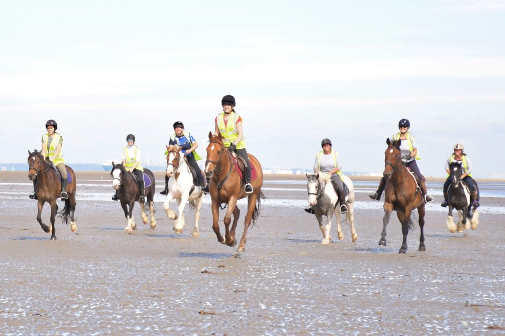 Gallery – Island Riding Centre