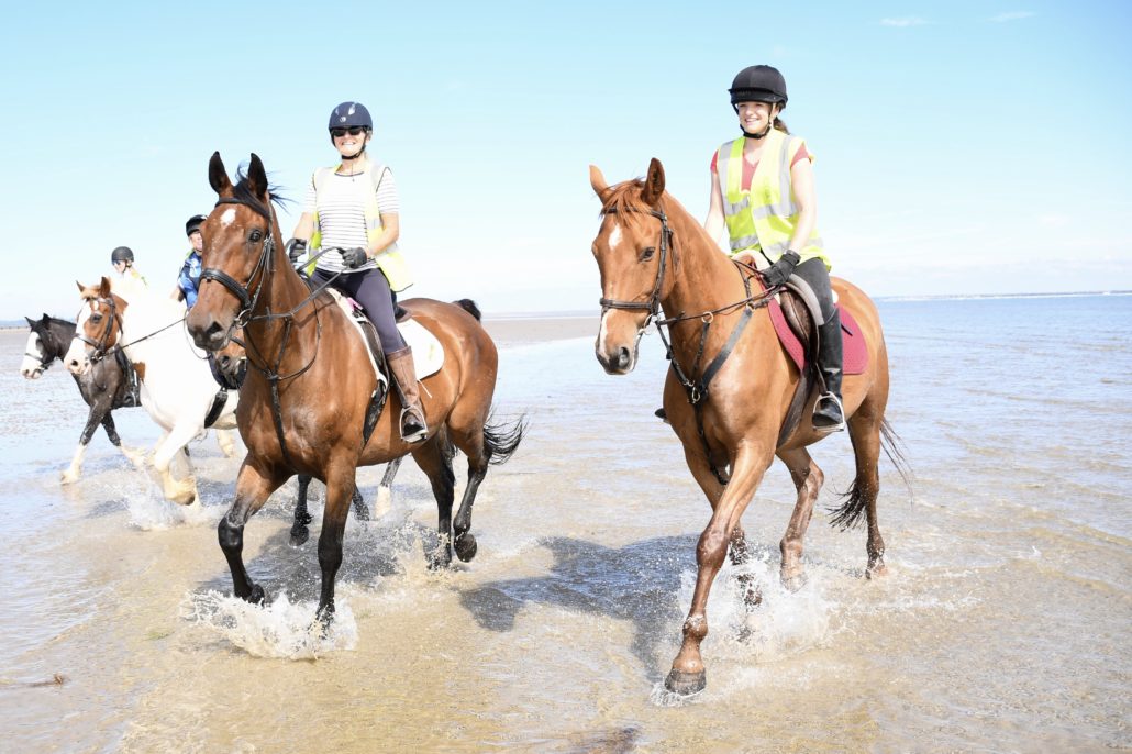 Gallery – Island Riding Centre