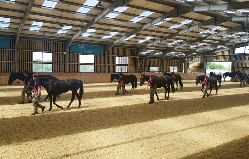 Gallery – Island Riding Centre