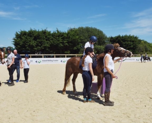 Gallery – Island Riding Centre