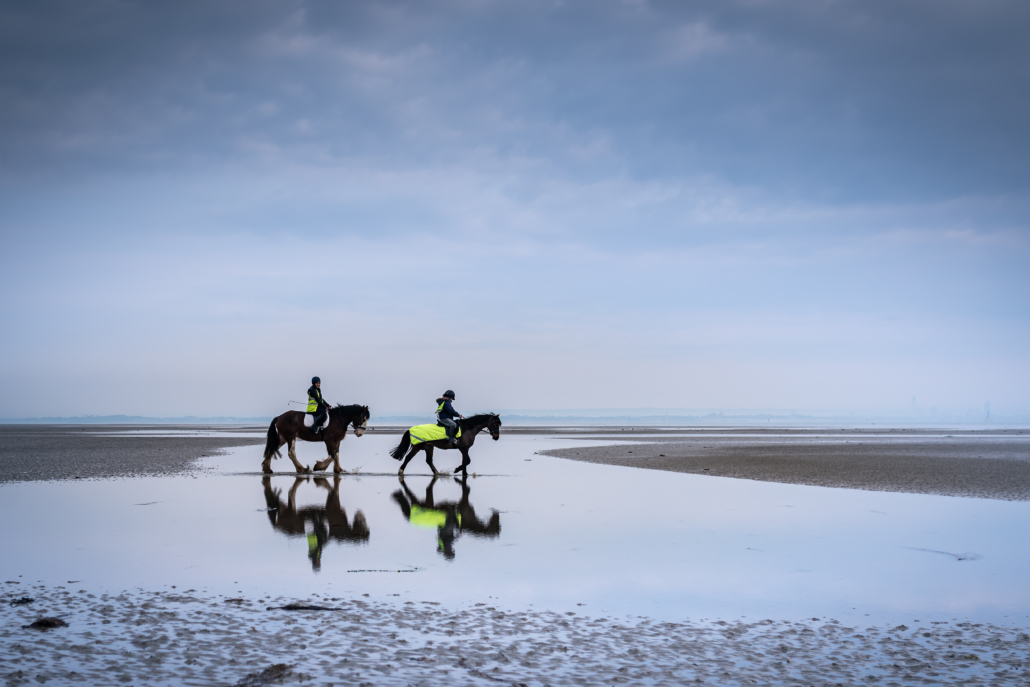 Gallery – Island Riding Centre