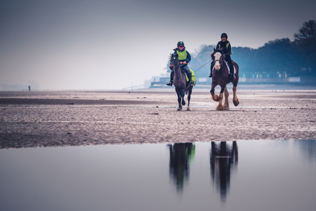 Gallery – Island Riding Centre