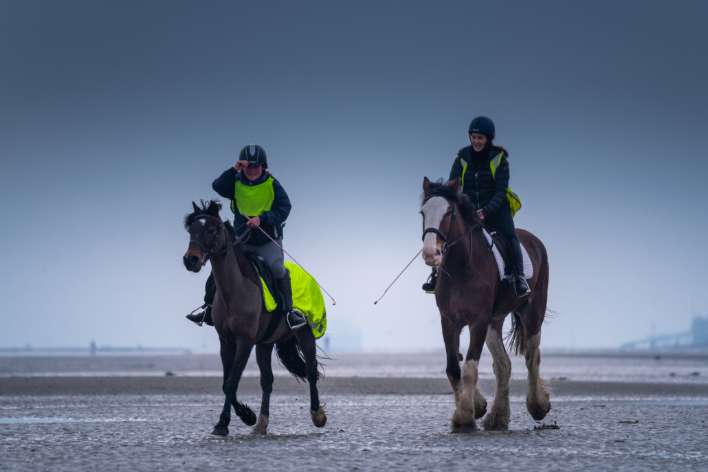 Gallery – Island Riding Centre