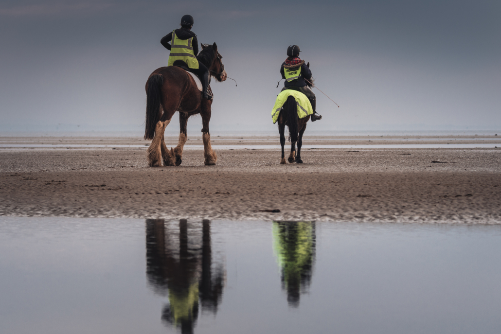 Gallery – Island Riding Centre