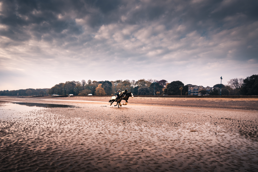 Gallery – Island Riding Centre