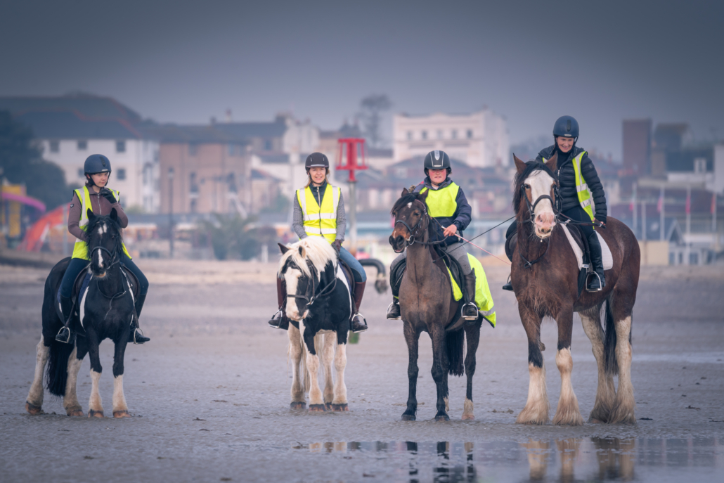 Gallery – Island Riding Centre