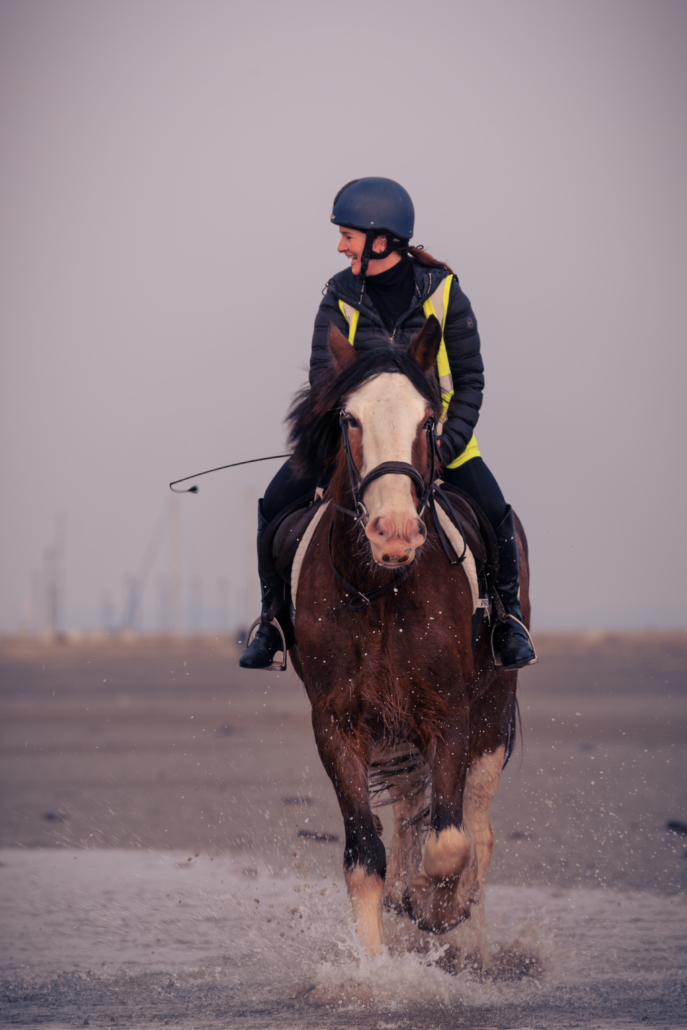 Gallery – Island Riding Centre