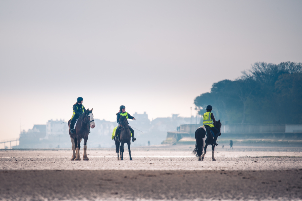 Gallery – Island Riding Centre