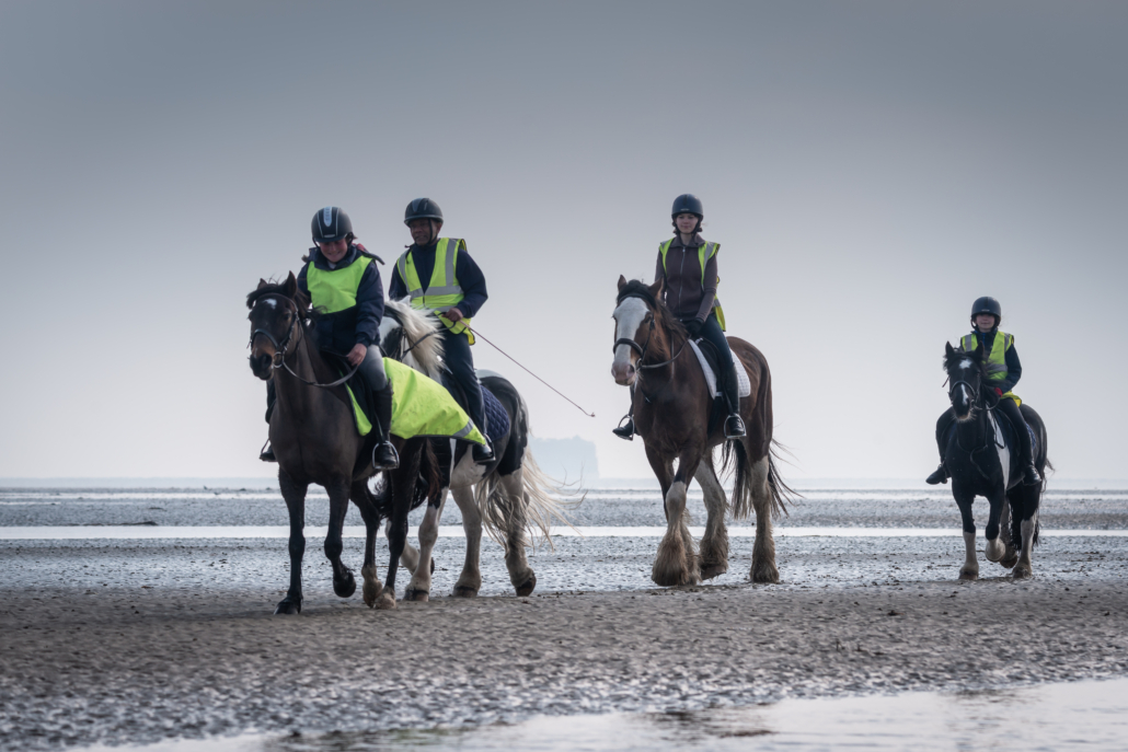 Gallery – Island Riding Centre