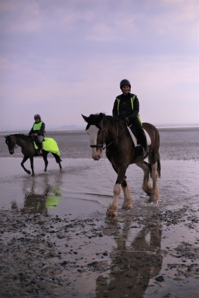 Gallery – Island Riding Centre