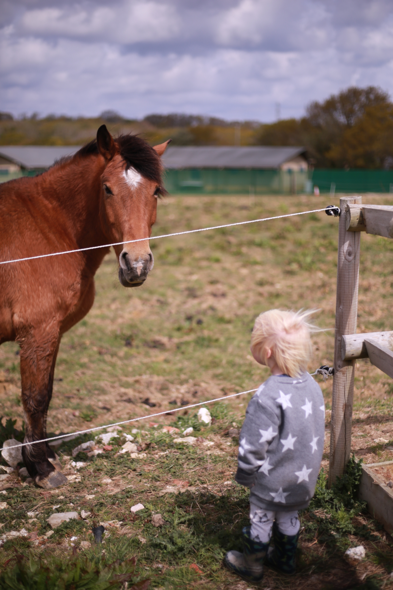 Island Riding Centre – Equestrian Complex and Holiday Accommodation on ...