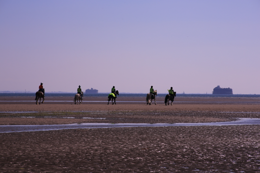 Gallery – Island Riding Centre