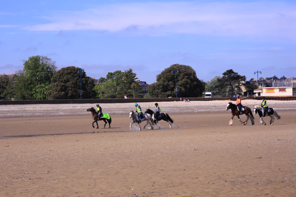 Gallery – Island Riding Centre