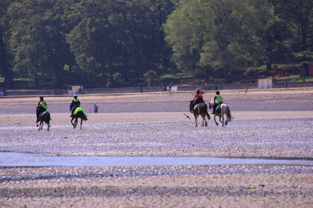 Gallery – Island Riding Centre