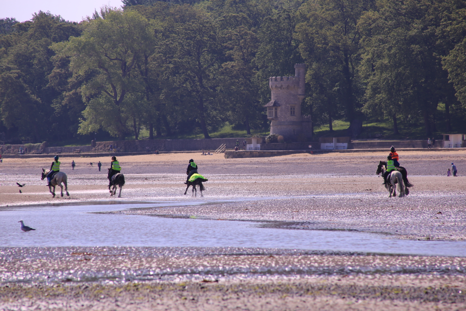 Island Riding Centre – Equestrian Complex and Holiday Accommodation on ...