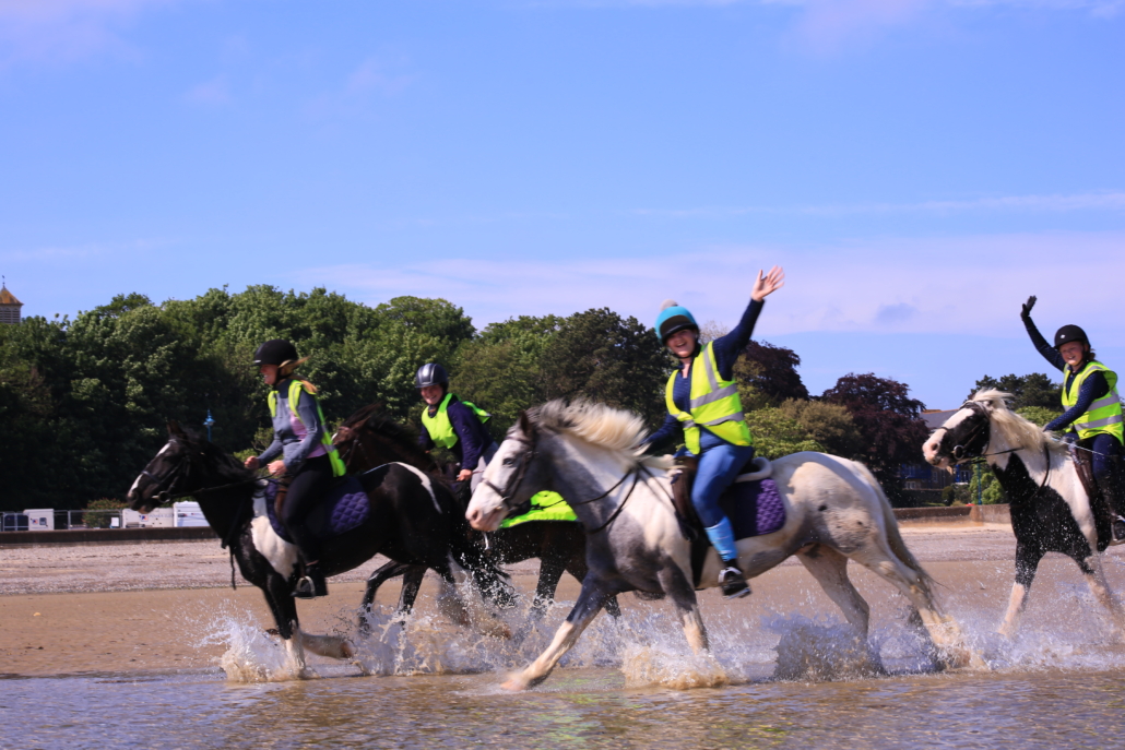 Gallery – Island Riding Centre