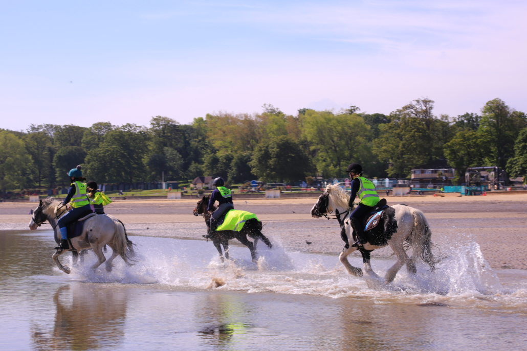 Gallery – Island Riding Centre